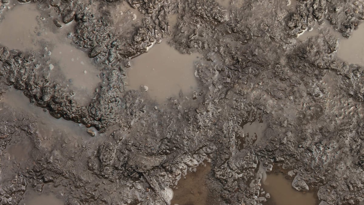 International Mud Day (June 29th) | Days Of The Year