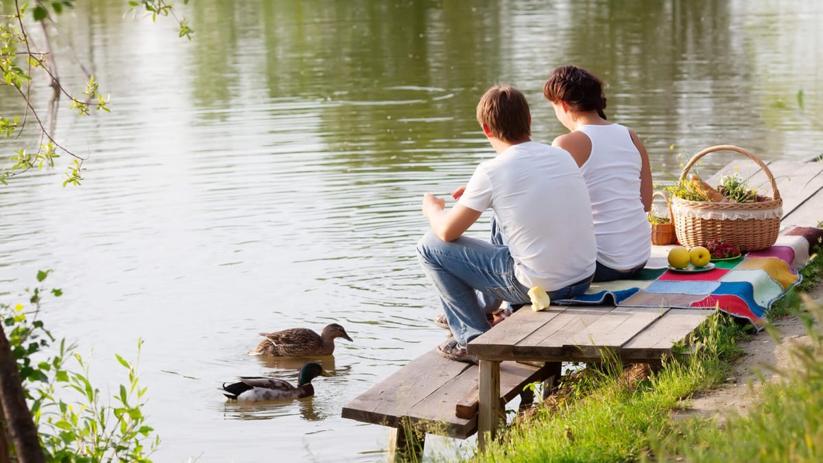 International Picnic Day (June 18th) | Days Of The Year