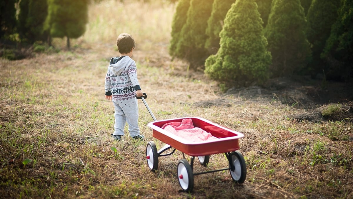 Little Red Wagon Day (March 27th, 2024) | Days Of The Year