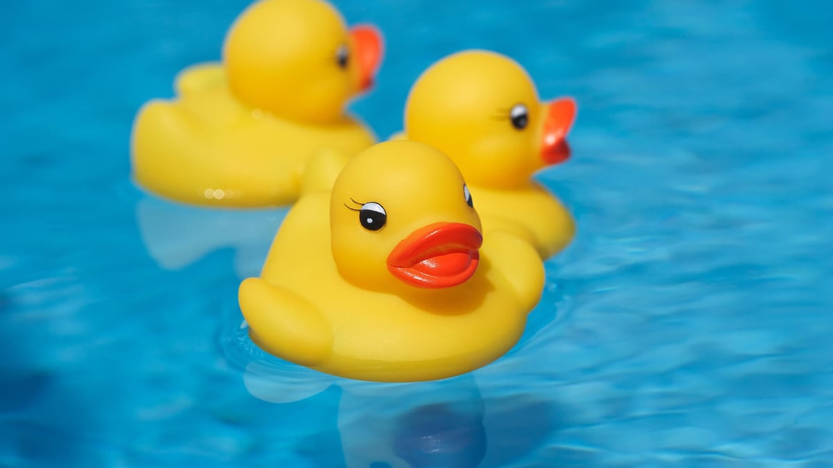 National Rubber Ducky Day (January 13th) | Days Of The Year