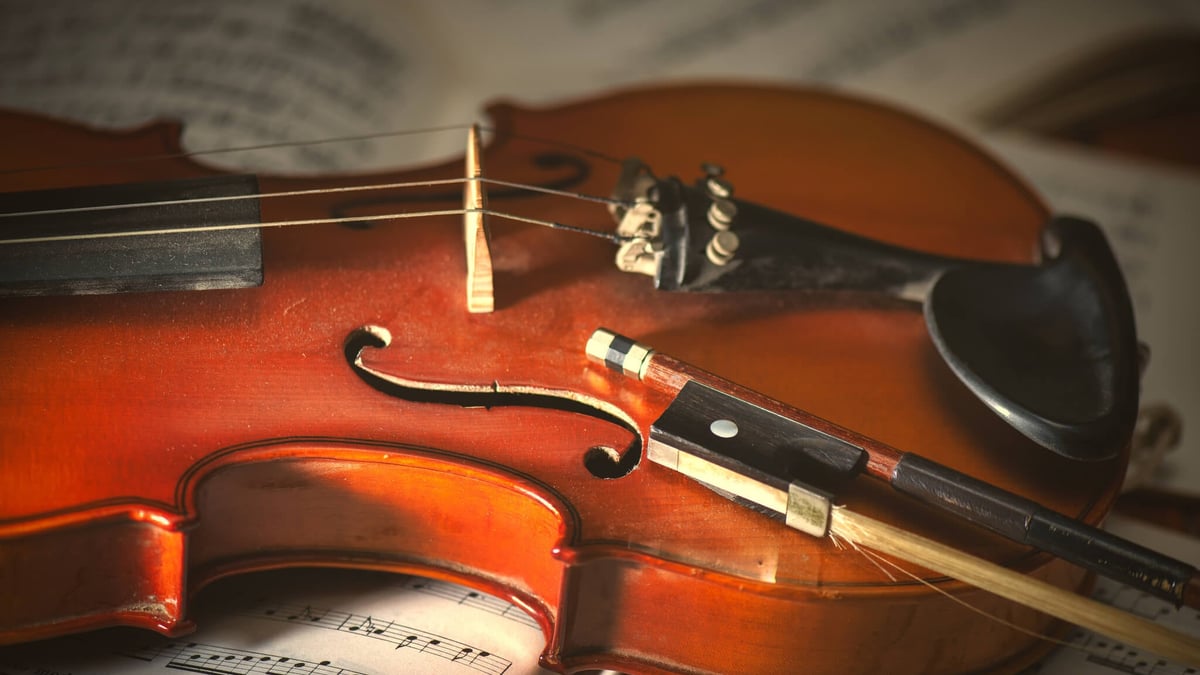 National Violin Day (December 13th) | Days Of The Year