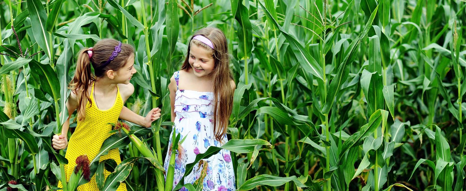 National Cousins Day (July 24th) | Days Of The Year