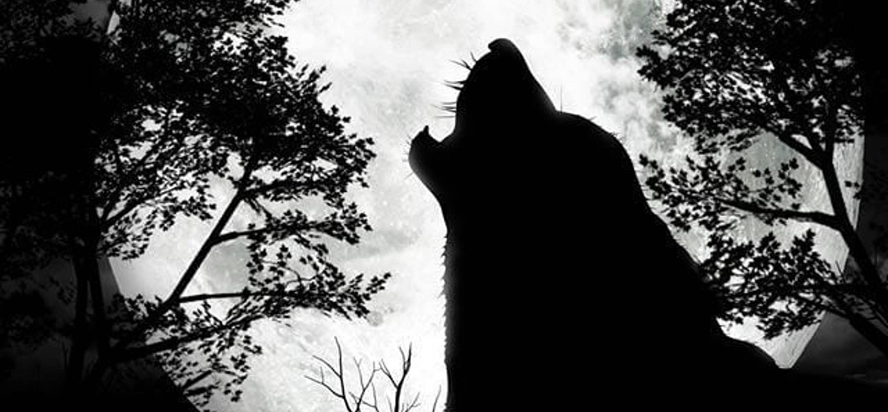 Howl At The Moon Day (October 26th) | Days Of The Year