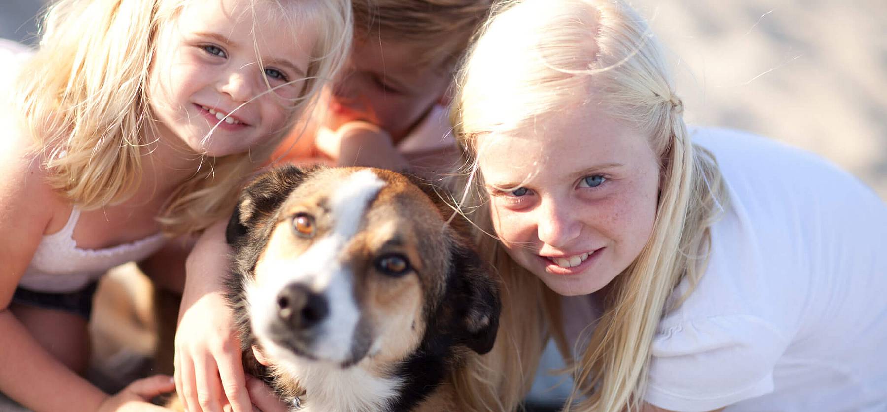 National Best Friends Day (June 8th) | Days Of The Year