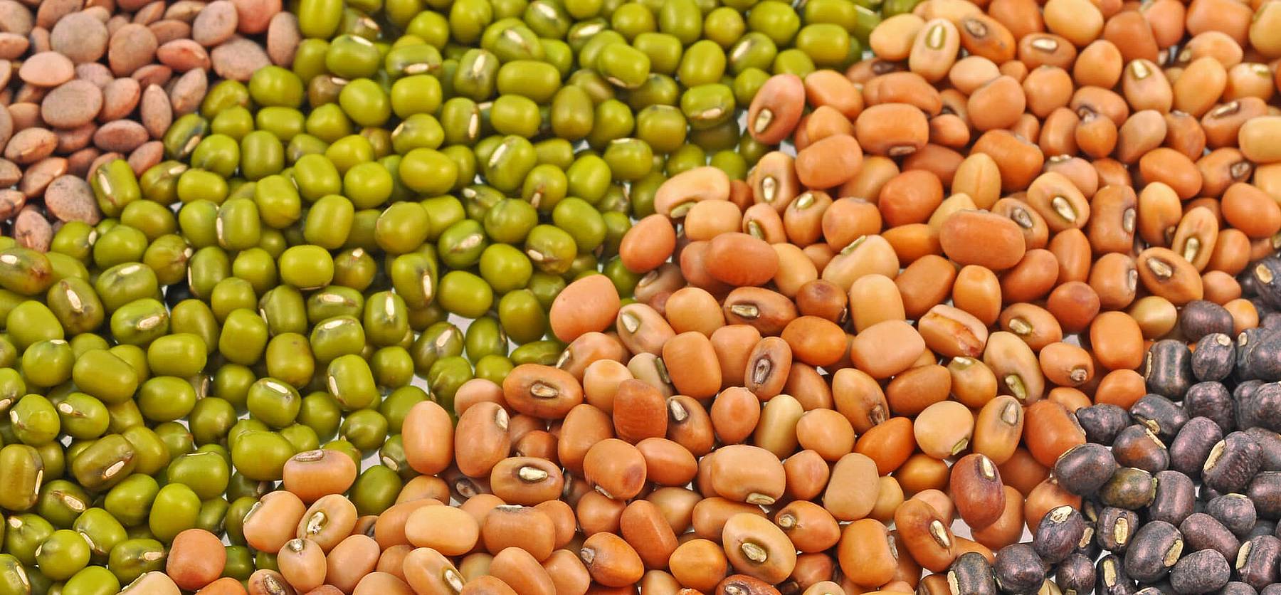 International Year of Pulses (2016) | Days Of The Year