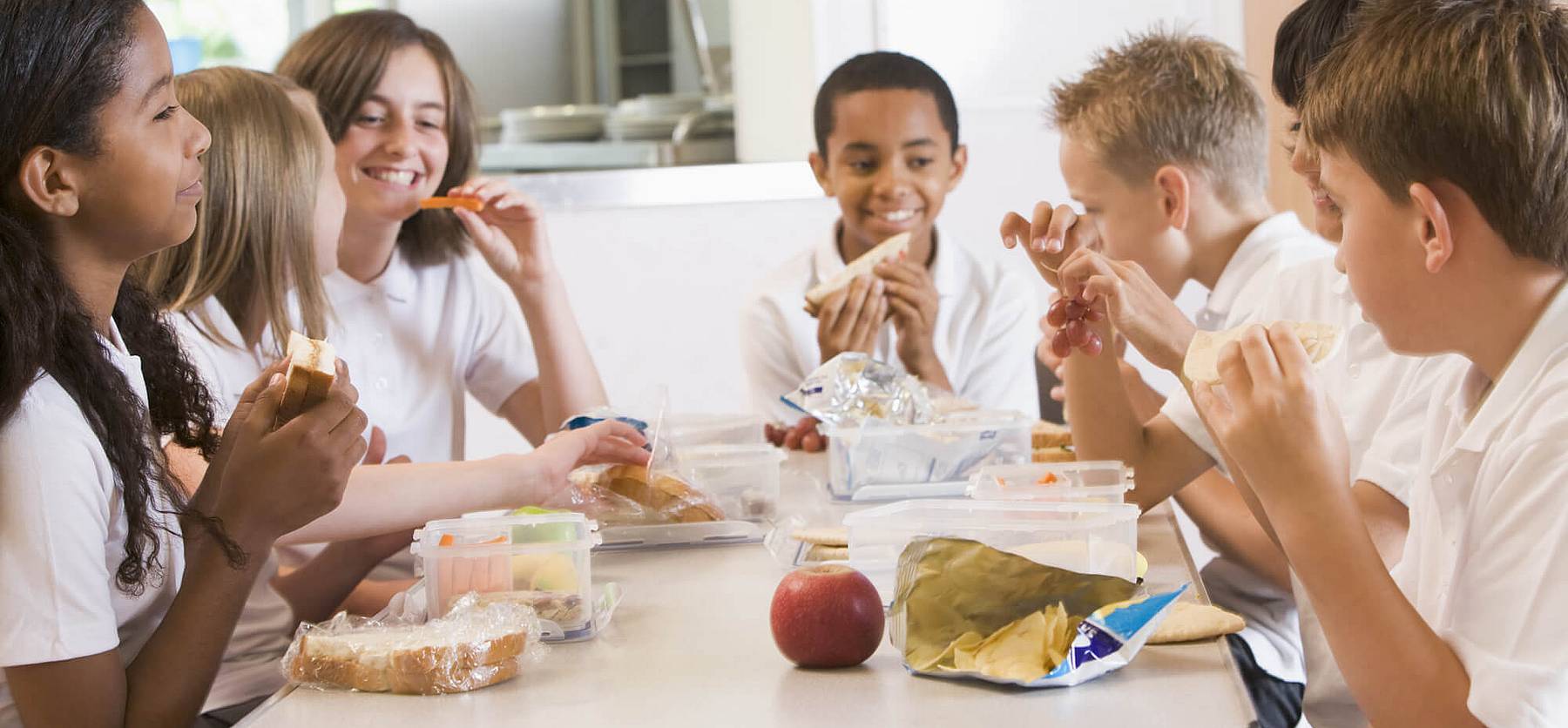 National Pack Your Lunch Day (March 10th) | Days Of The Year