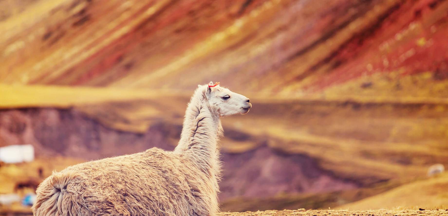 National Holidays on December 9th, 2022 | Days Of The Year