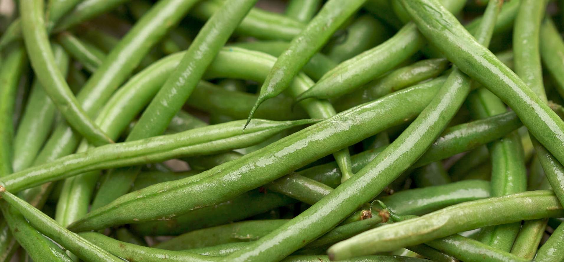 National Bean Day (January 6th) | Days Of The Year