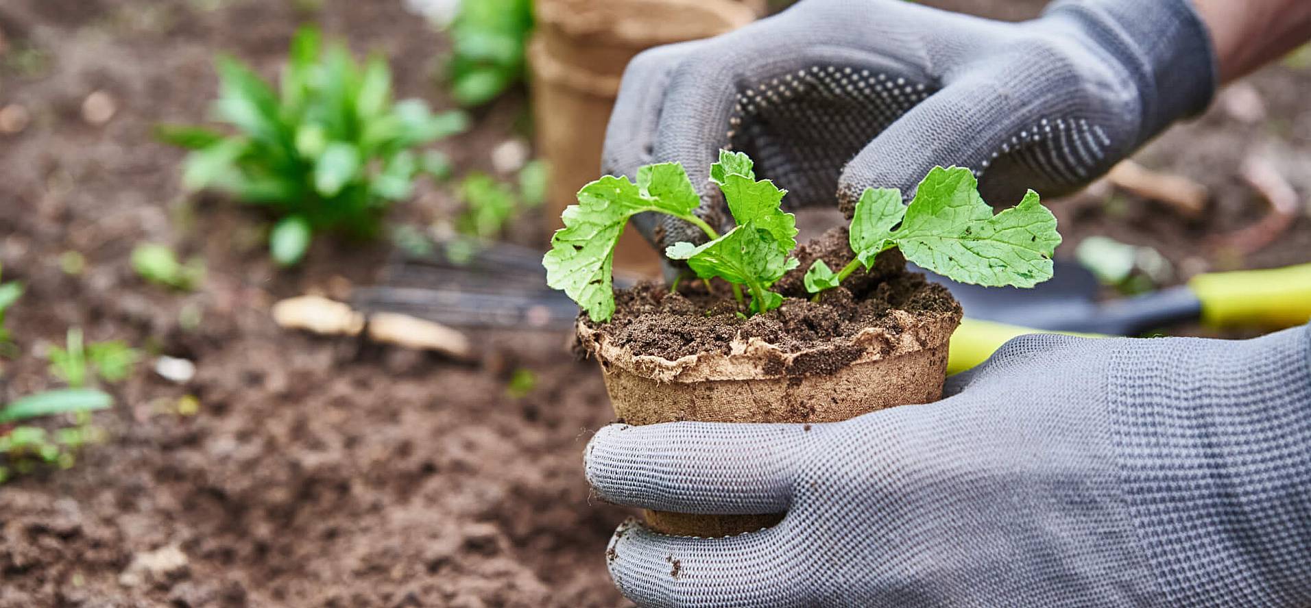 National Garden Month (April 2024) | Days Of The Year