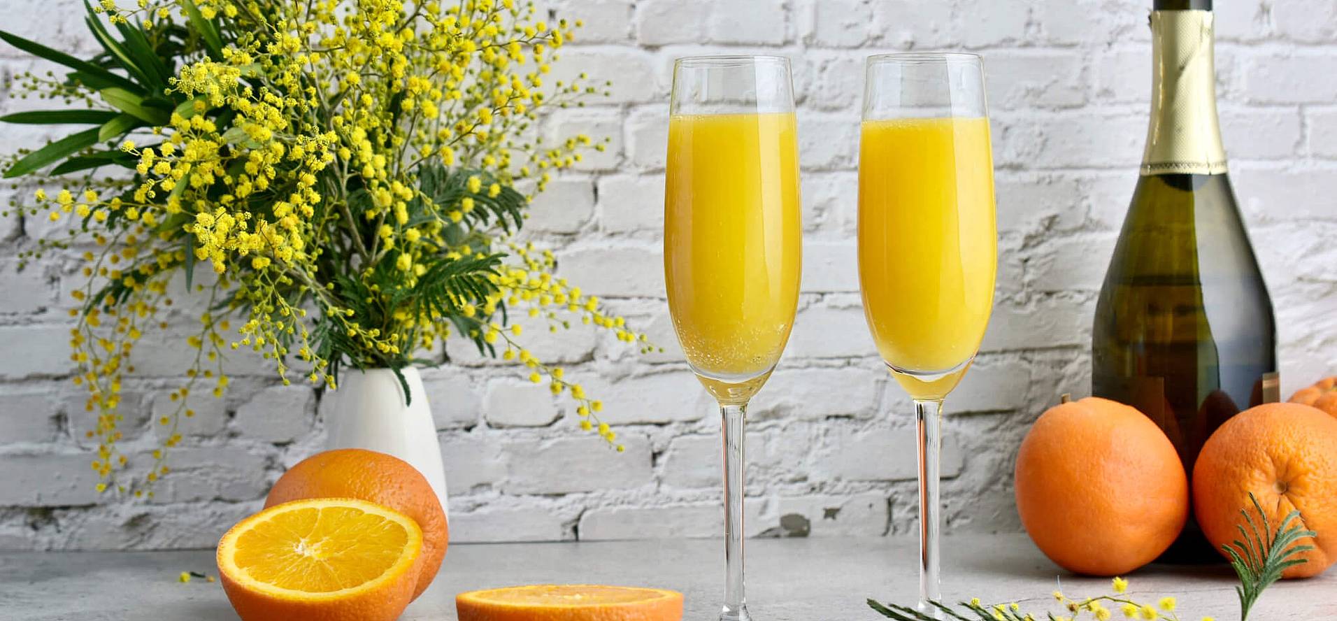 National Mimosa Day (May 16th) | Days Of The Year