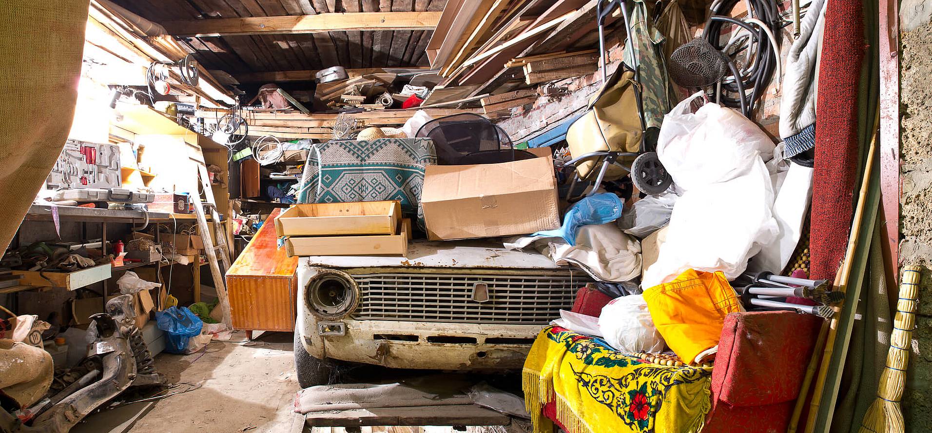 National Pack Rat Day (May 17th) | Days Of The Year