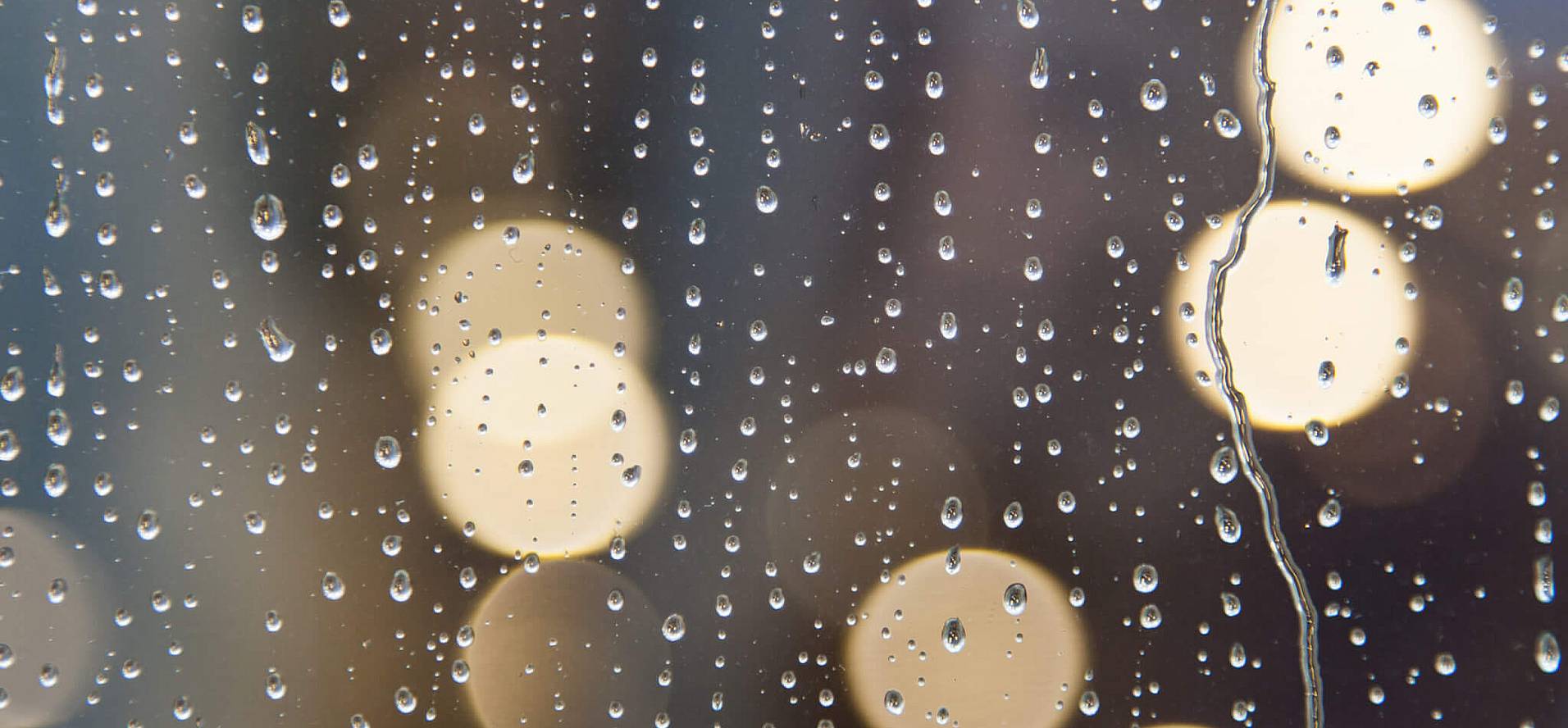 Rain Day (July 29th) | Days Of The Year