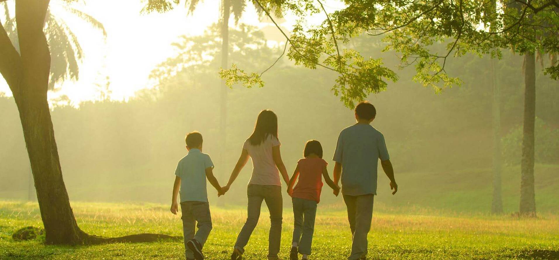 National Roots Day (December 23rd) | Days Of The Year