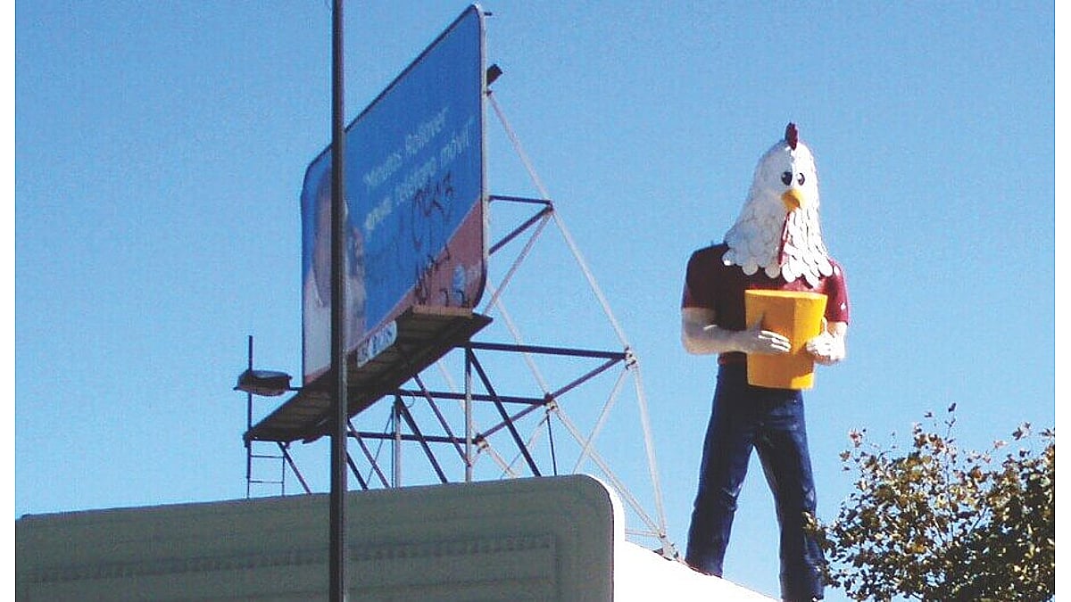 National Chicken Boy Day (September 1st) | Days Of The Year