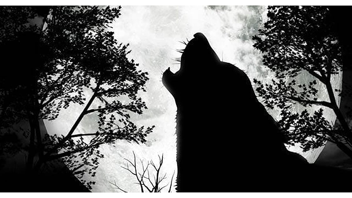 Howl At The Moon Day (October 26th) | Days Of The Year