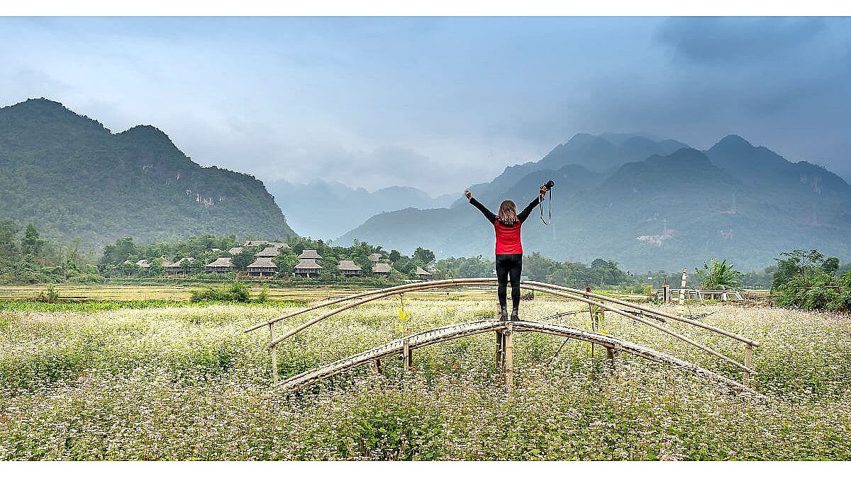 National GOE Day (October 5th, 2025) | Days Of The Year