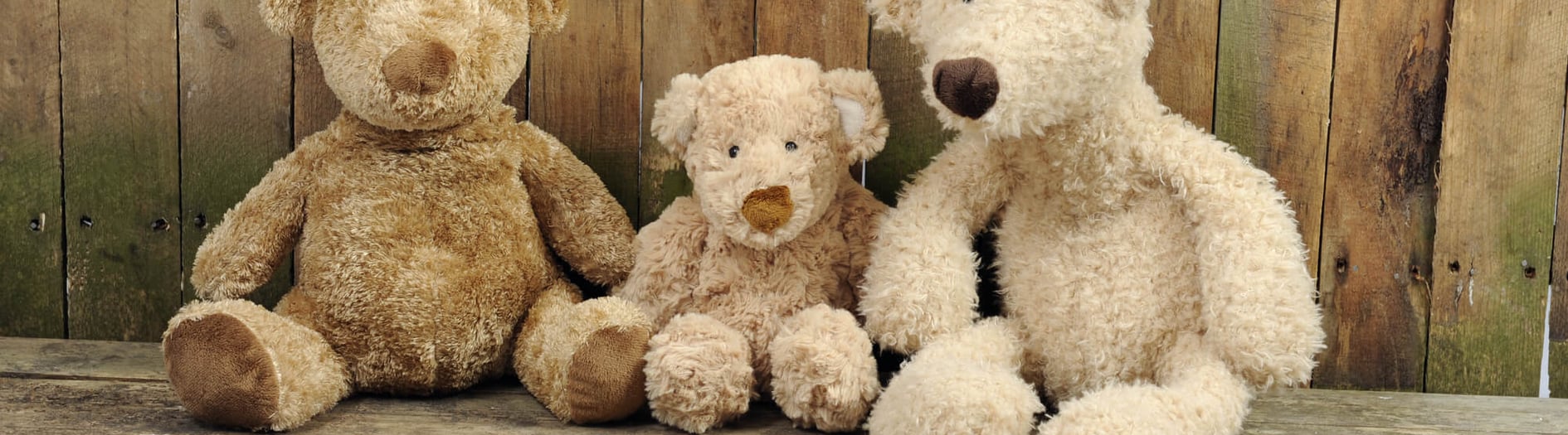 National Teddy Bear Day | Days Of The Year
