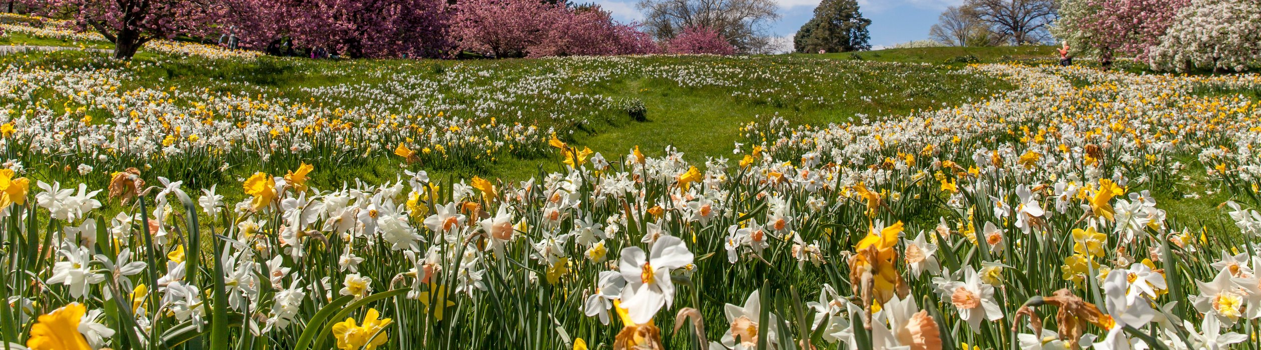 March Equinox | Days Of The Year