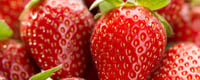 Strawberry Day (27th February) | Days Of The Year