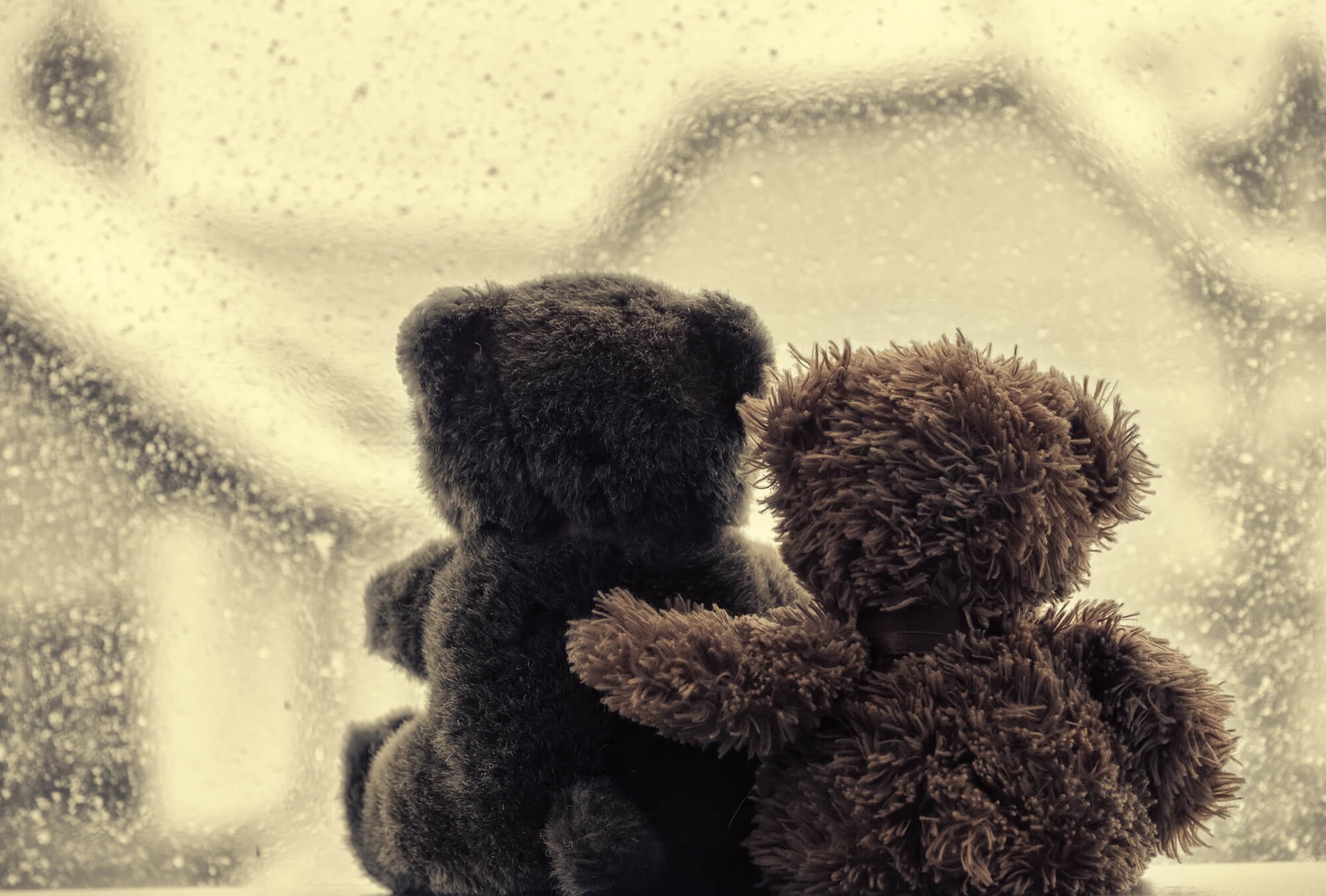 Hug A Bear Day (7th November) | Days Of The Year