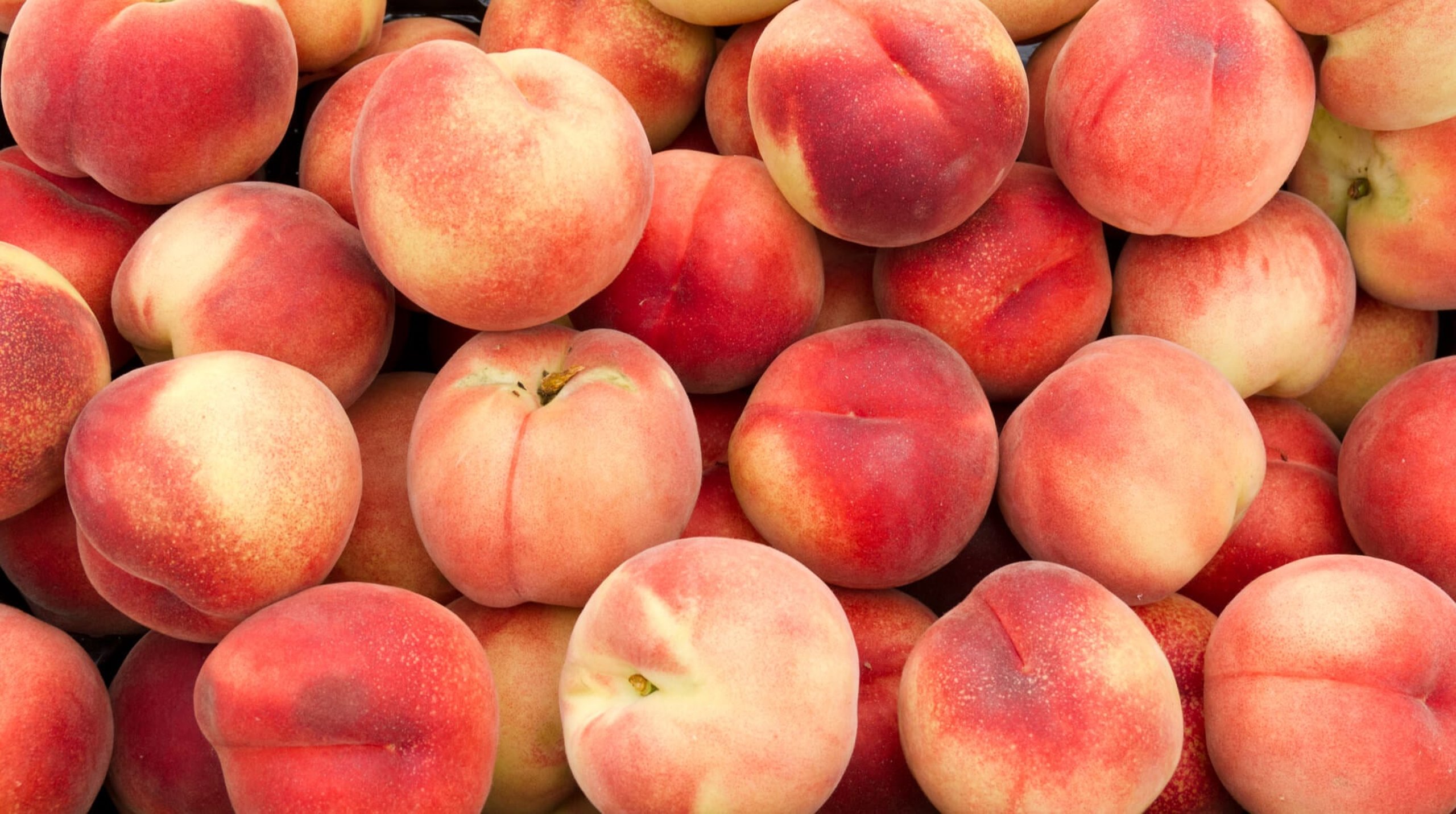 Peach Month – Days Of The Year (August, 2021)