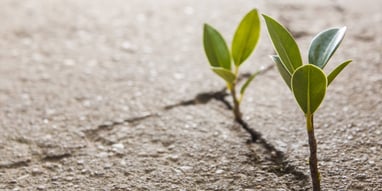 Day Of Hope (7th April, 2021) – Days Of The Year