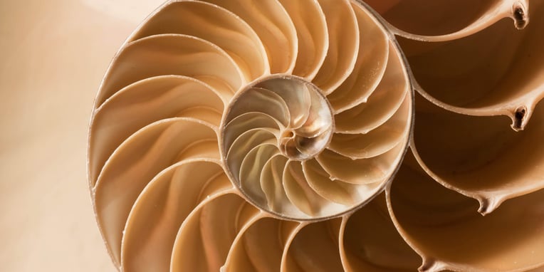 Fibonacci Day – Days Of The Year (23rd November)