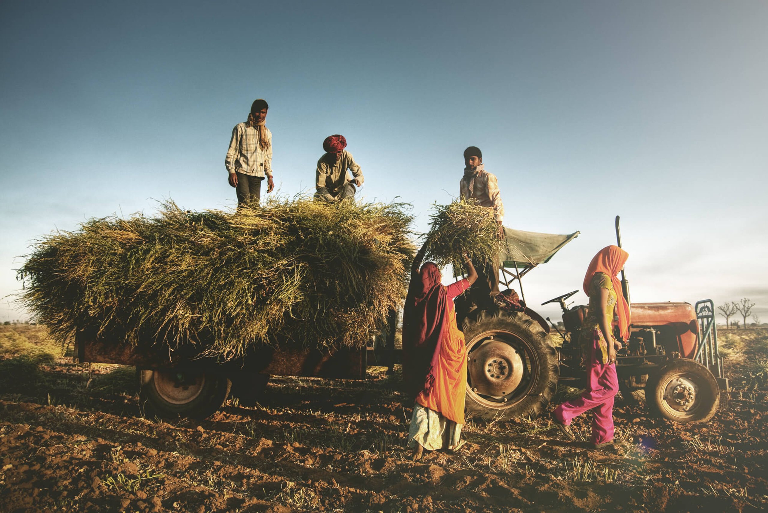 Farm Workers Day (10th June, 2021) | Days Of The Year