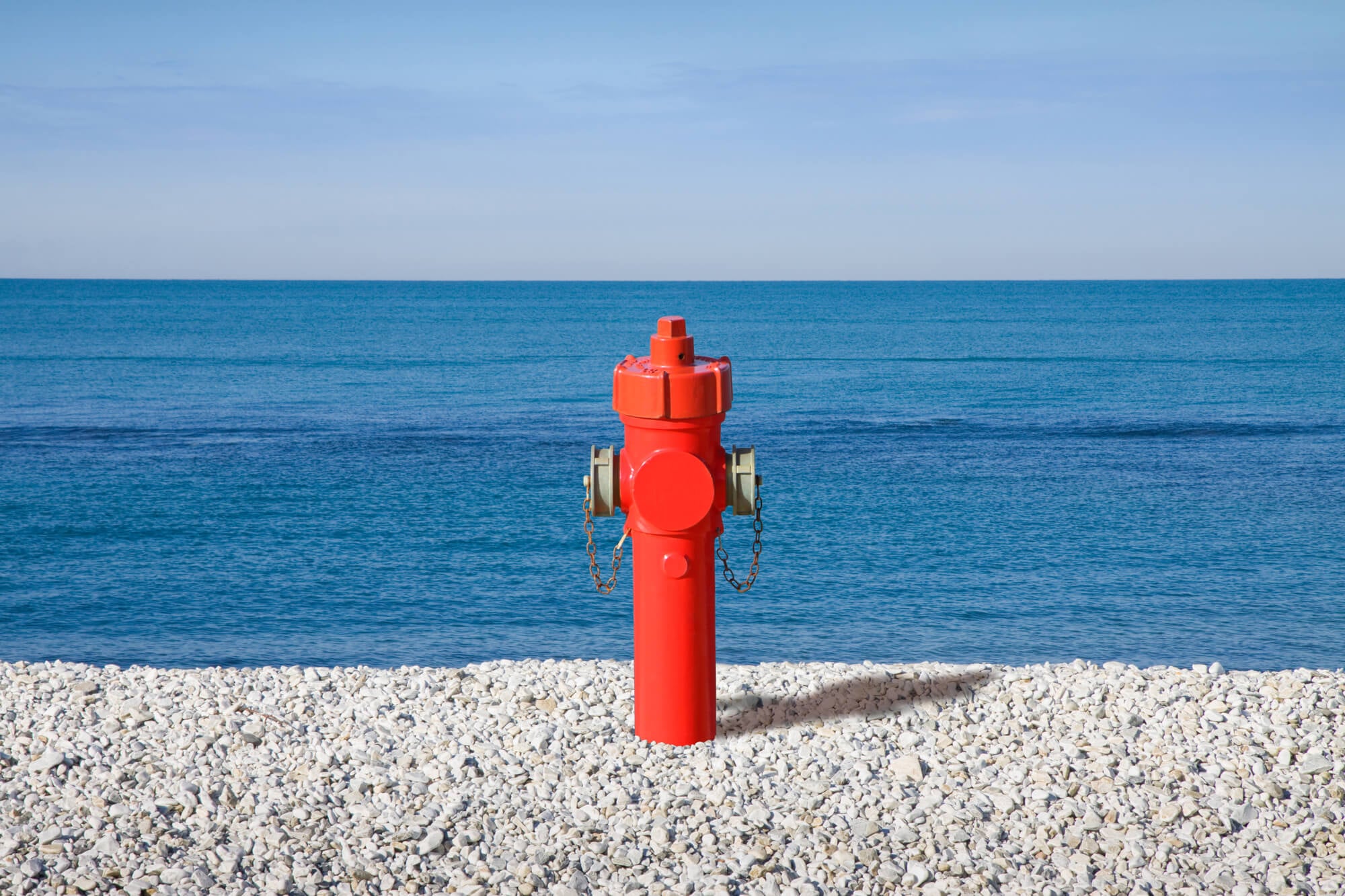 National Absurdity Day (November 20th) | Days Of The Year