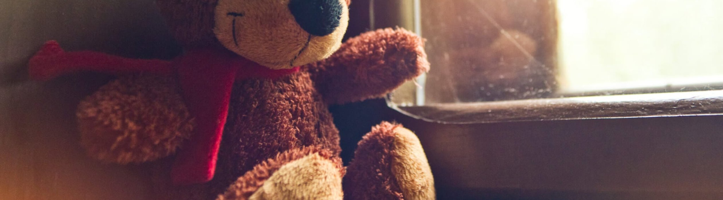 Bring Your Teddy Bear To Work & School Day | Days Of The Year