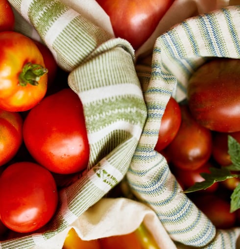 Fresh Tomato Day | Days Of The Year