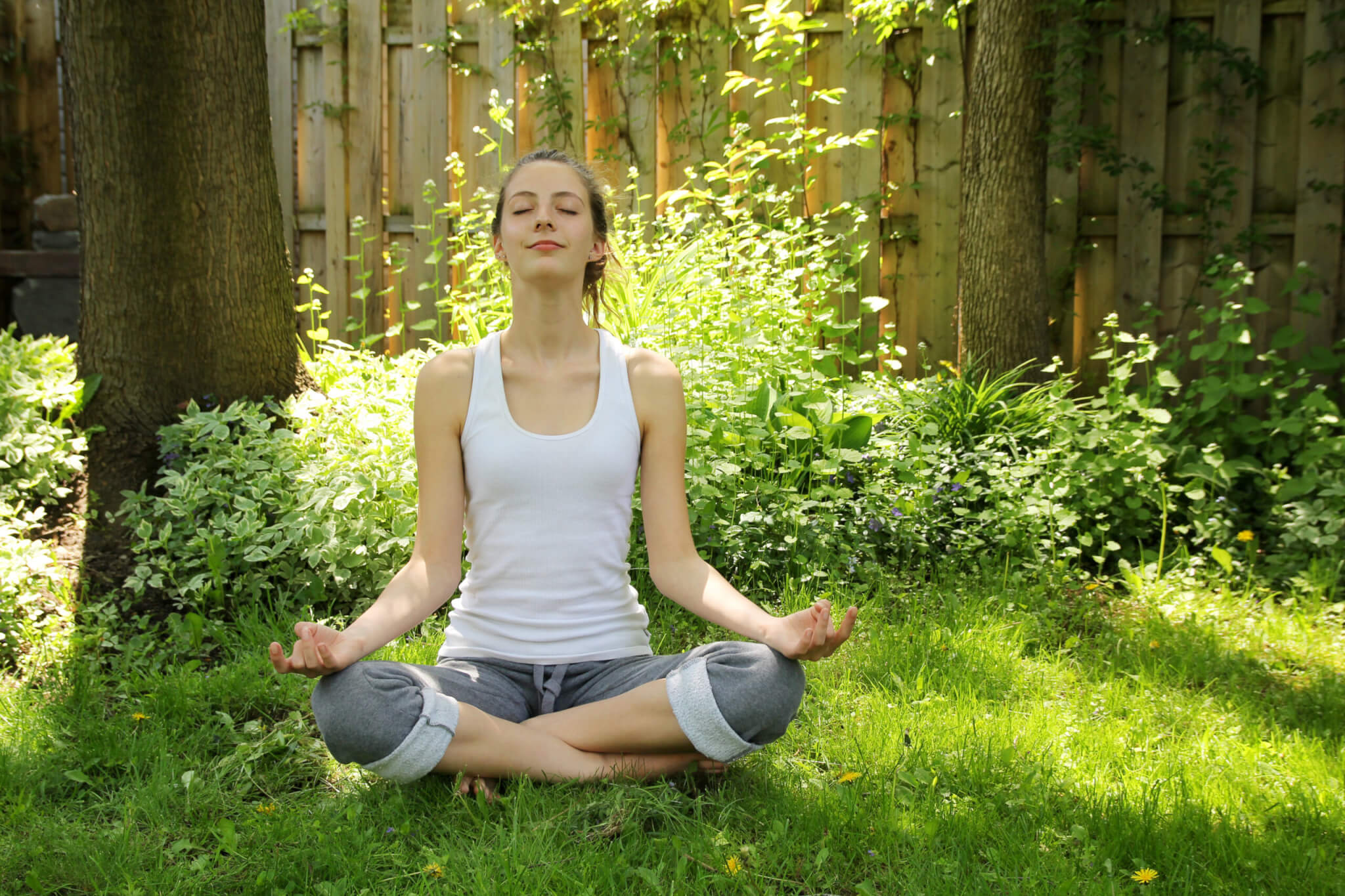 National Garden Meditation Day (May 3rd) | Days Of The Year National Garden Meditation Day (May 3rd) | Days Of The Year
