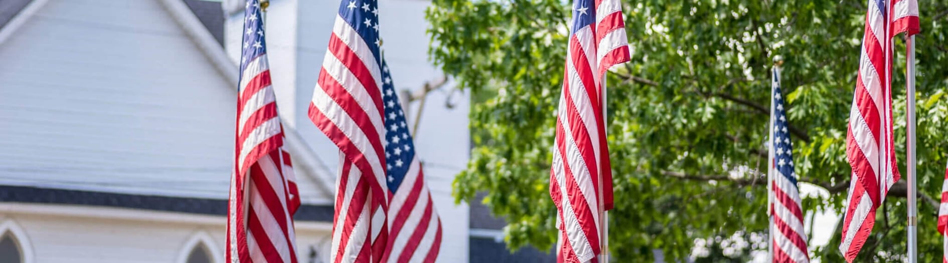 Indivisible Day | Days Of The Year