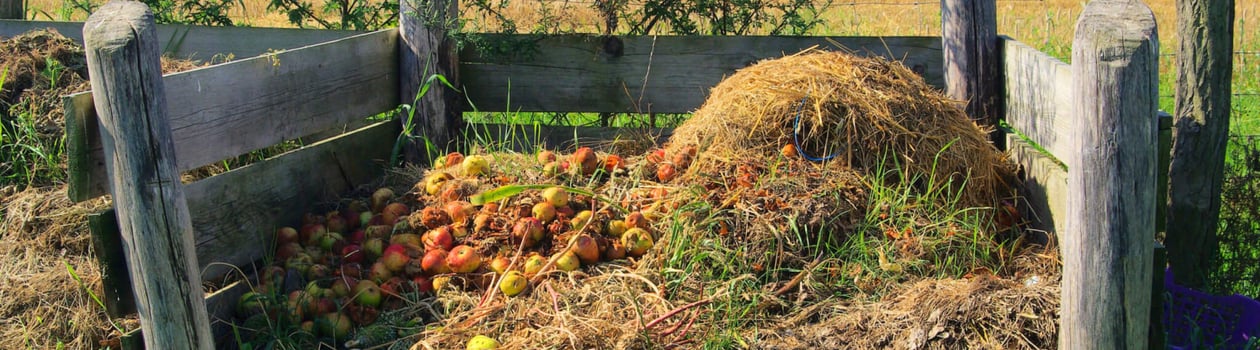 Learn About Composting Day | Days Of The Year