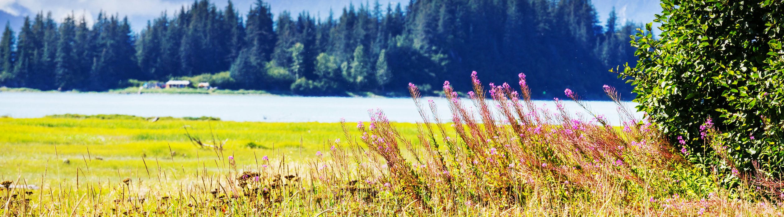 National Alaska Day | Days Of The Year
