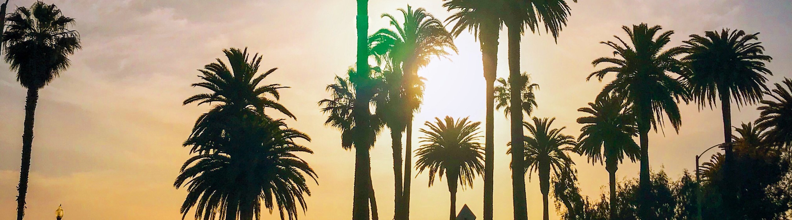 National California Day | Days Of The Year