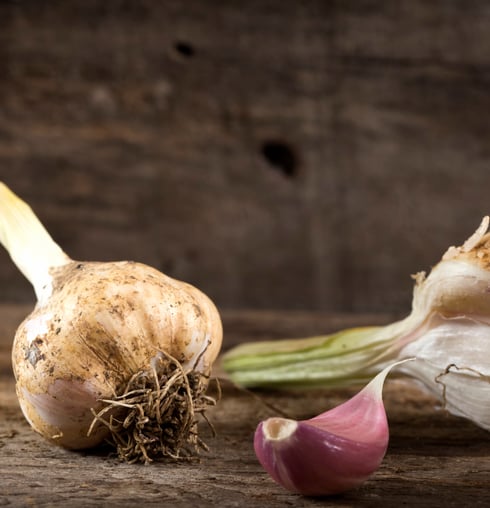National Garlic Day | Days Of The Year