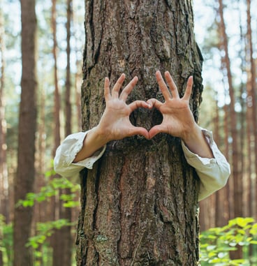 International Day of Forests | Days Of The Year