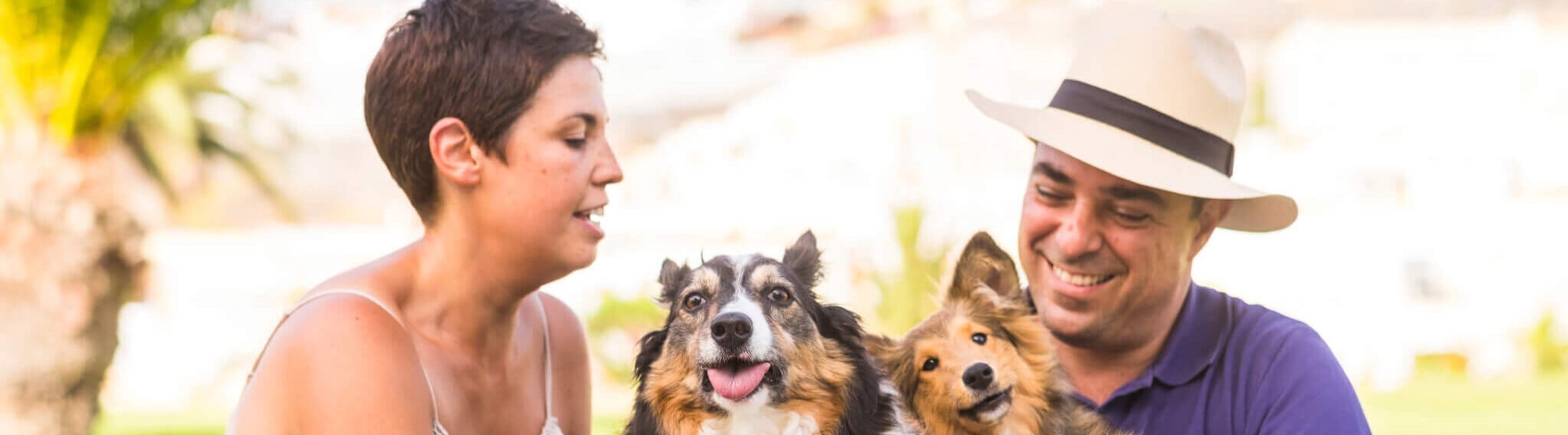 National Pet Parents Day | Days Of The Year