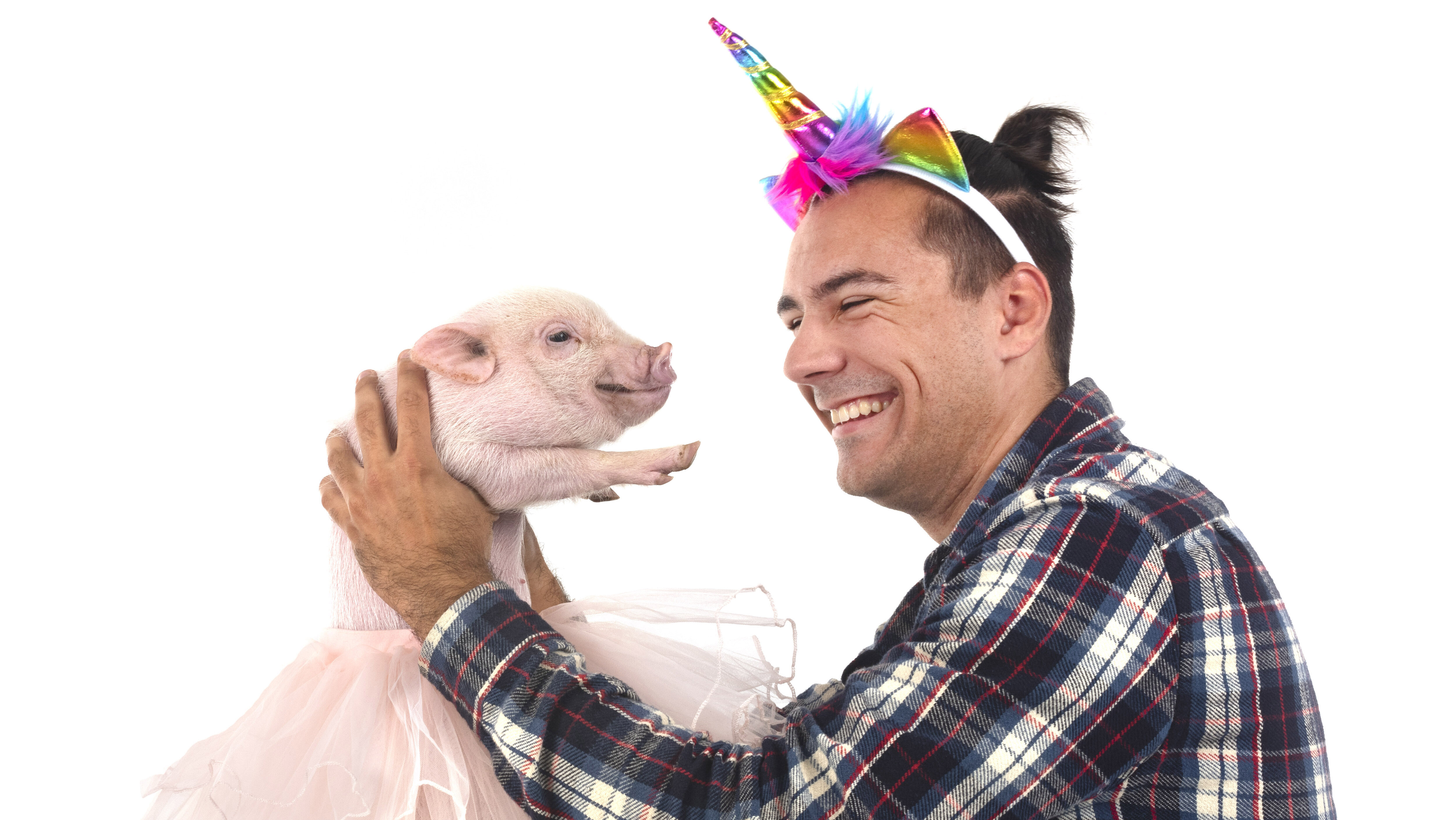 National When Pigs Fly Day | Days Of The Year