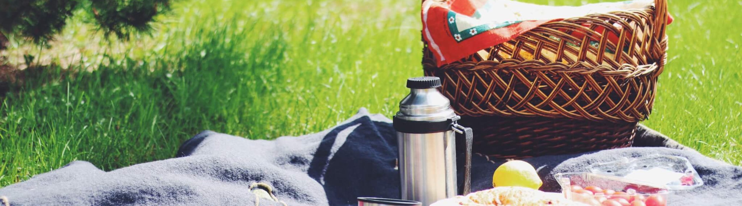 National Picnic Day | Days Of The Year