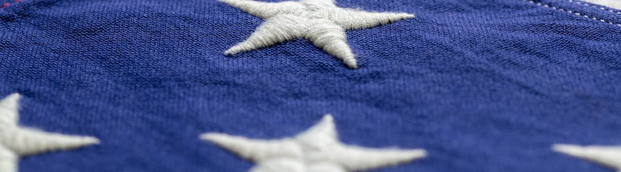 Silver Star Service Banner Day | Days Of The Year